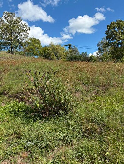 Appartement à vendre - Villé - 2 pièces - 1 chambre