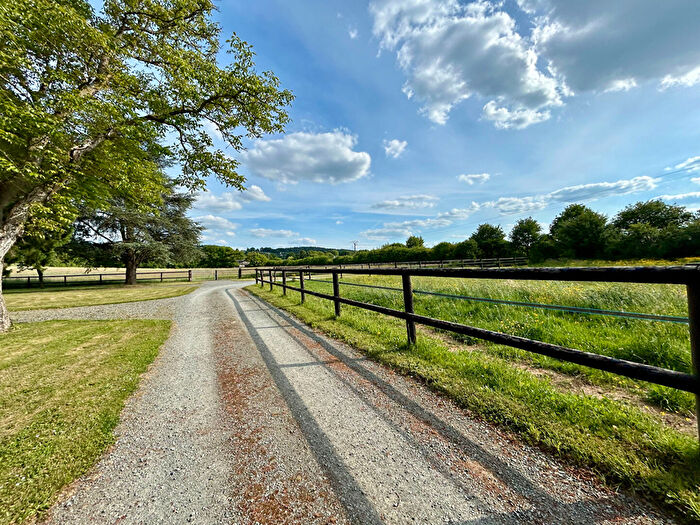 Maison à vendre - Saint-Pierre-sur-Orthe - 10 pièces - 4 chambres