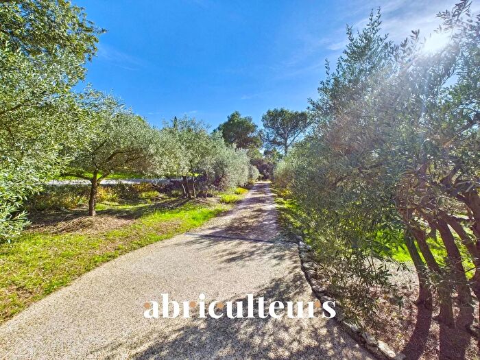 Maison à vendre - Cheval-Blanc - 5 pièces - 4 chambres