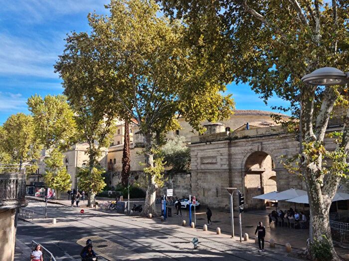 Appartement à louer - Port Marianne, Richter, Montpellier - 4 pièces - 3 chambres