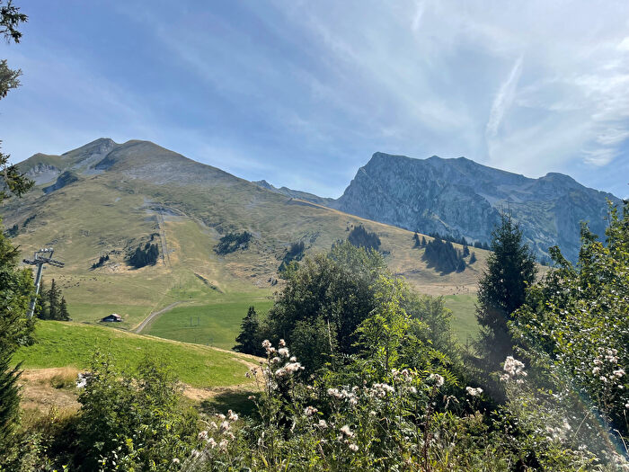 Appartement à vendre - Manigod - 1 pièce - 1 chambre