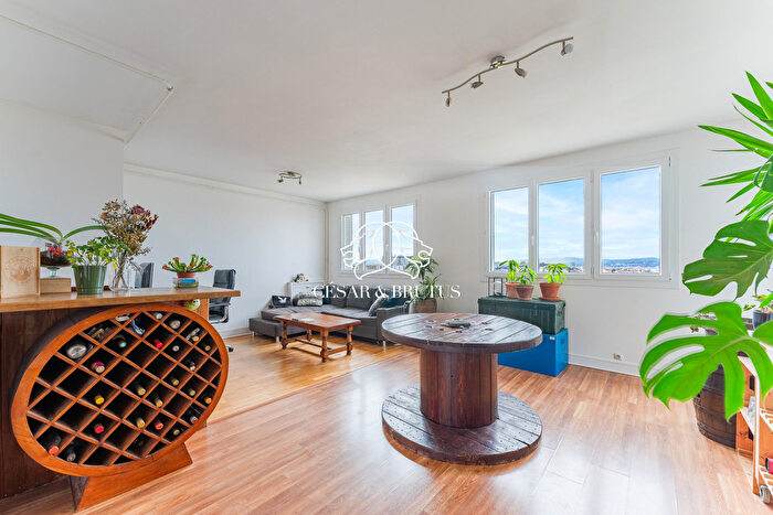 Appartement à vendre - Villeurbanne, Poudrette, Les Brosses - 4 pièces - 2 chambres