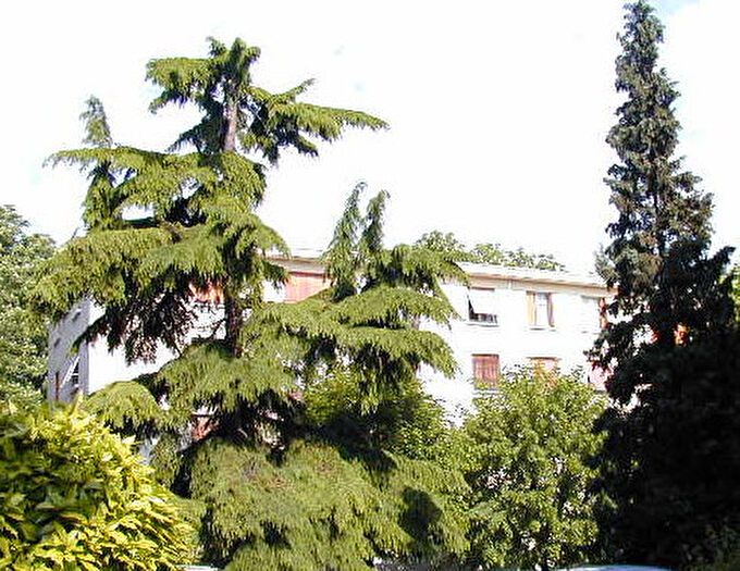 Appartement à vendre - Thiais, Centre-ville - 3 pièces - 2 chambres