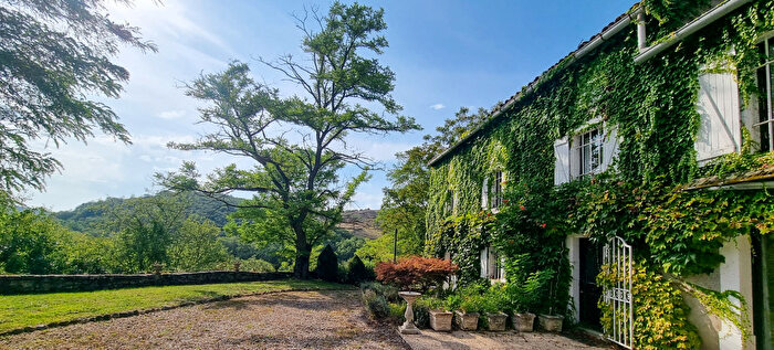 Maison à vendre - Peyrefitte-du-Razès - 15 pièces - 7 chambres