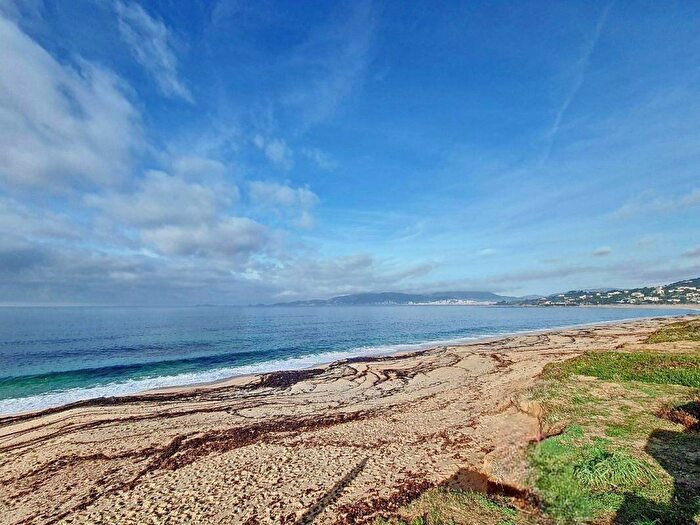 Appartement à louer - Albitreccia - 2 pièces - 1 chambre