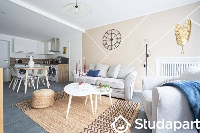 Appartement à louer - Saint Maurice-Pellevoisin, Lille - 1 pièce - 1 chambre