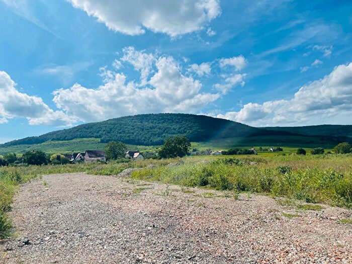 Maison à vendre - Bergholtz - 5 pièces