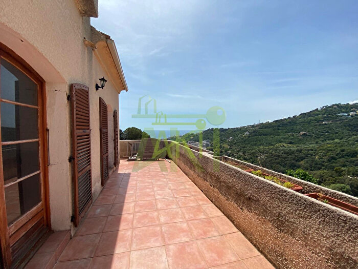 Maison à vendre - Ville-di-Pietrabugno - 9 pièces - 6 chambres