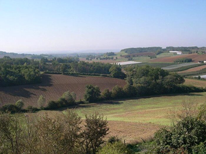 Maison à vendre - Saint-Vincent-Lespinasse - 15 pièces - 12 chambres