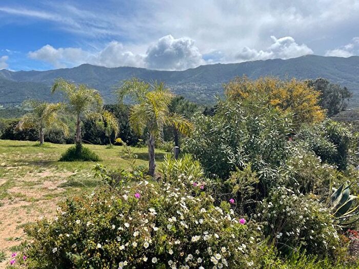 Maison à vendre - Calcatoggio - 7 pièces - 4 chambres