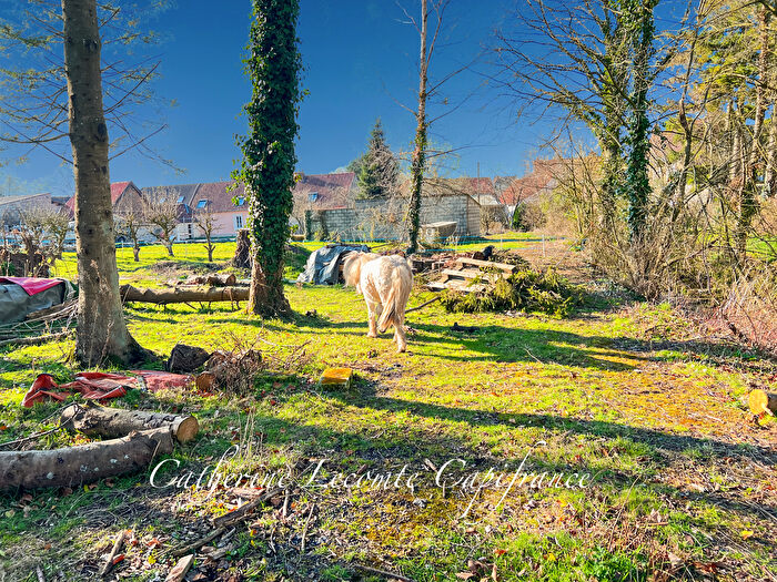 Maison 7 pièces à vendre - Wirwignes