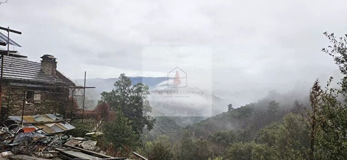 Maison à vendre - Saint-Privat-de-Vallongue - 2 pièces - 1 chambre