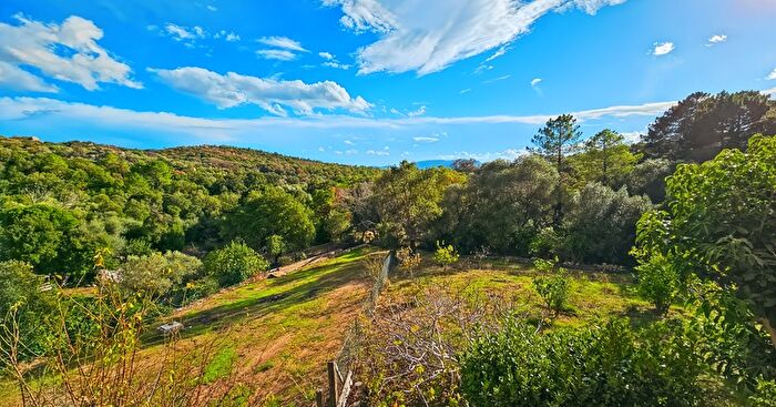 Maison à vendre - Lecci - 11 pièces - 7 chambres