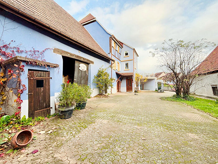 Maison à vendre - Hattstatt - 10 pièces - 7 chambres