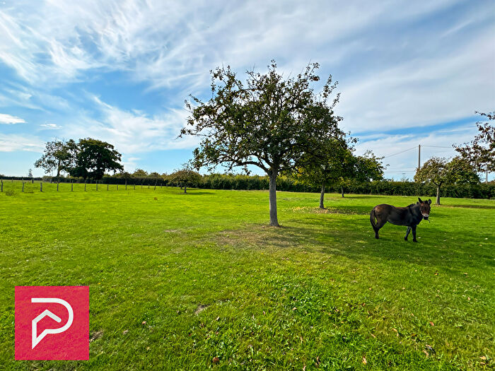 Maison à vendre - Cheffreville-Tonnencourt - 1 pièce