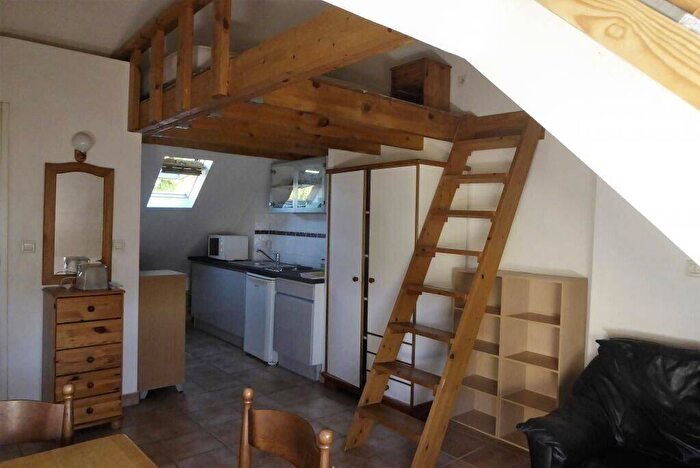 Appartement à louer - Renaudie-La Plaine, Saint-Martin-dHères - 1 pièce