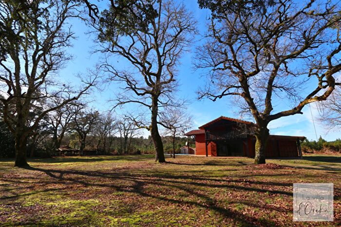 Maison à vendre - Saint-Paul-en-Born - 6 pièces - 3 chambres
