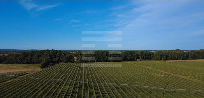 Maison à vendre - Nègrepelisse - 1 pièce