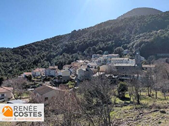 Maison à vendre - Rospigliani - 6 pièces - 3 chambres