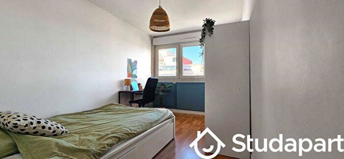 Bonnevay, La Soie, Les Brosses, Villeurbanne : Appartement 1 pièce à louer