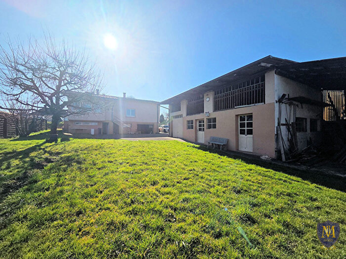 Maison à vendre - Michelbach-le-Bas - 5 pièces - 3 chambres