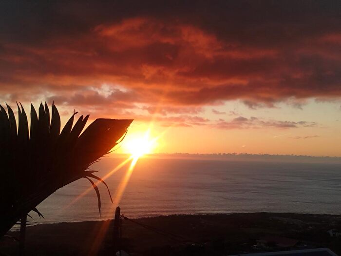Maison à louer - Saint-Leu, Piton Saint-Leu, Bois de Nèfles, Plateau - 3 pièces - 2 chambres
