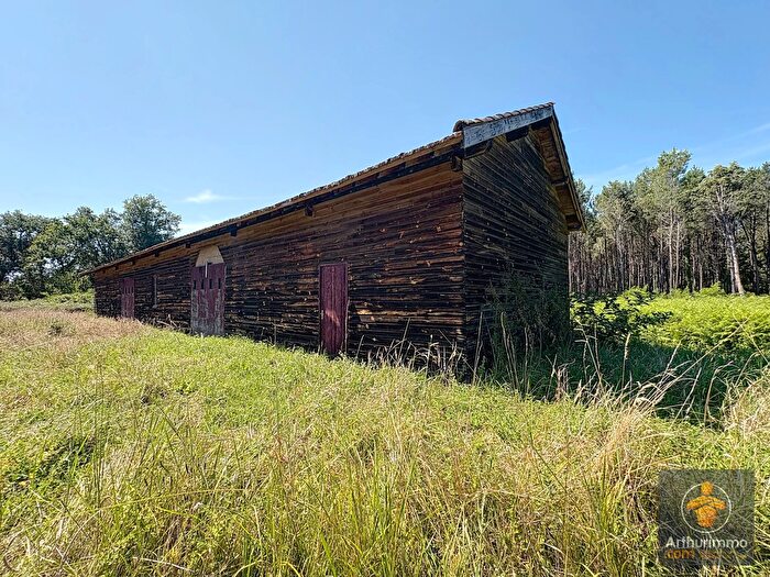 Maison à vendre - Saint-Paul-en-Born - 1 pièce