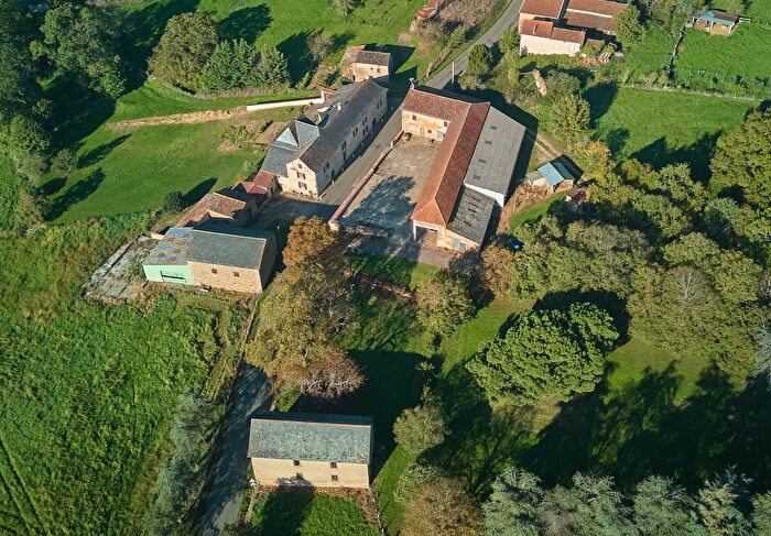 Maison à vendre - Mirandol-Bourgnounac - 10 pièces - 6 chambres