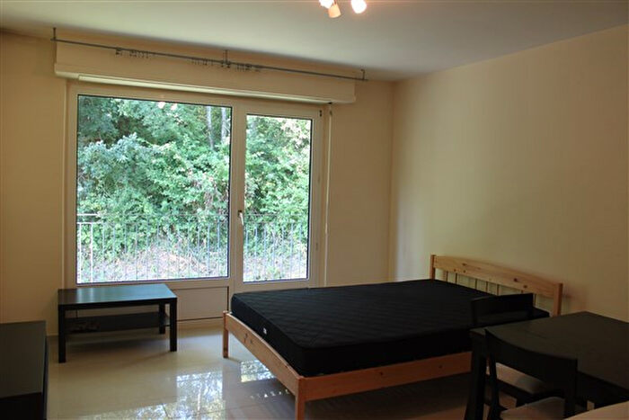 Appartement à louer - Wissembourg - 1 pièce