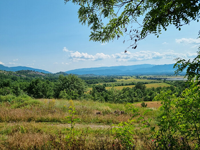 Maison à vendre - Sisteron - 10 pièces - 2 chambres