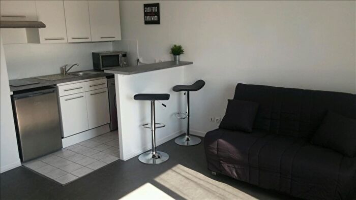 Appartement 1 pièce à louer - Fleury-les-Aubrais, Gare, Bannier, Bustière, Dessaux