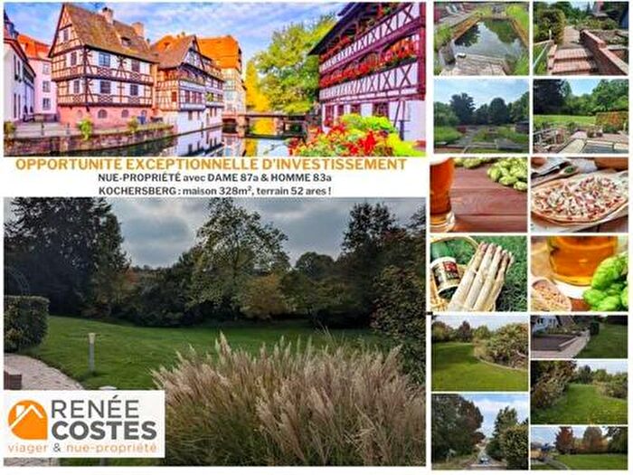 Maison 10 pièces à Willgottheim, à vendre