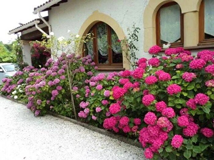 Appartement à louer - Saint-Paul-de-Vence - 1 pièce