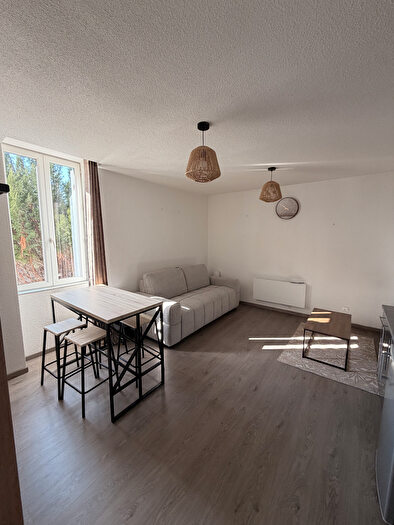 Montluçon, Ville Gozet, République, Blanzat : Appartement 1 pièce à louer