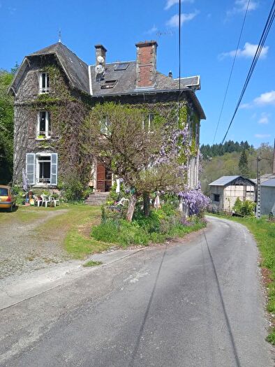 Maison à vendre - Saint-Léonard-de-Noblat - 11 pièces - 5 chambres