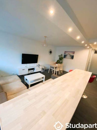 Appartement 1 pièce à louer à Maregue, Cenon