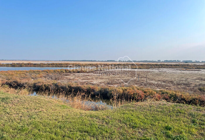 Appartement à vendre - Le Grau-du-Roi, Espiguette, Elysée, Bon Séjour, Soleil, Marine, Salonique - 3 pièces - 2 chambres