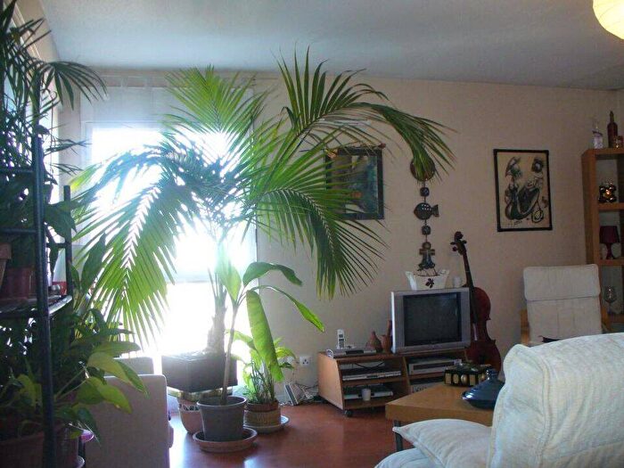 Appartement à louer - Patte dOie, Toulouse - 1 pièce