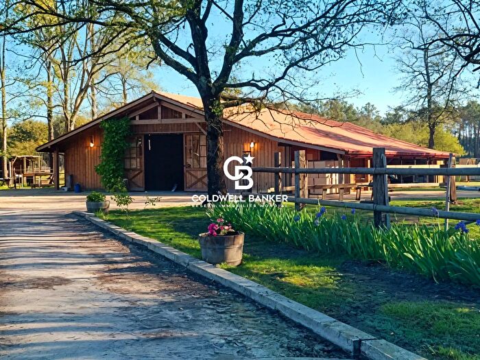 Maison à vendre - Lacanau, Lacanau ville, Centre-ville - 5 pièces - 4 chambres