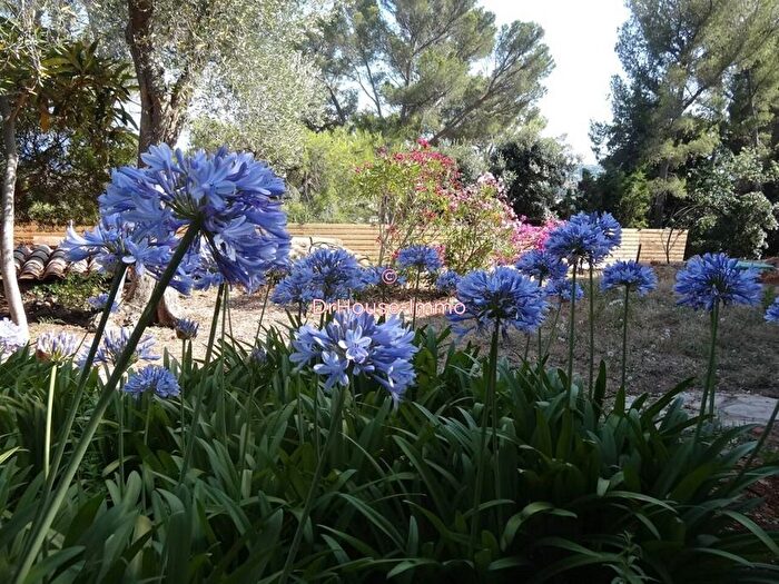 Maison à vendre - Cannes, Petit Juas - 8 pièces - 5 chambres