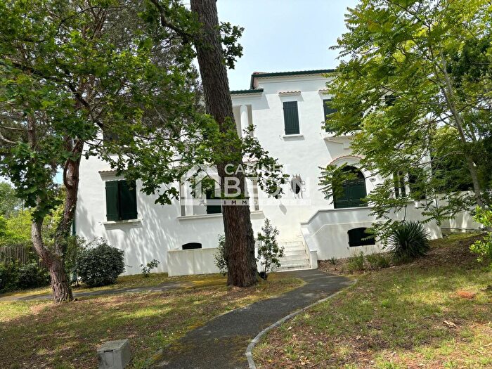 Appartement à louer - Arcachon - 3 pièces - 2 chambres