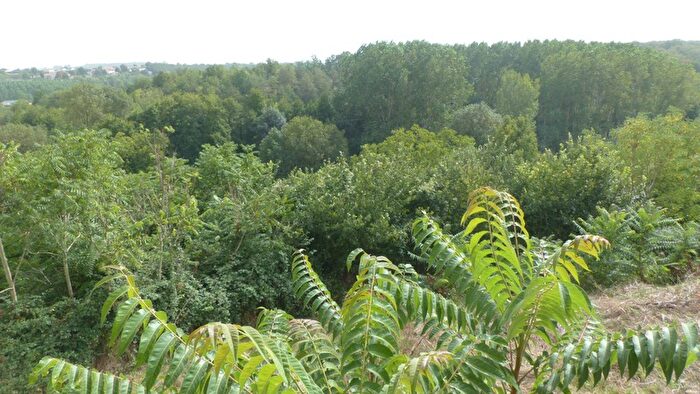 Maison à vendre - Availles-Thouarsais - 4 pièces - 2 chambres