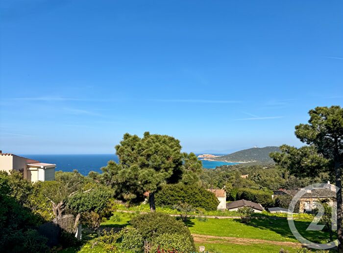 Appartement à vendre - Corbara - 2 pièces - 1 chambre