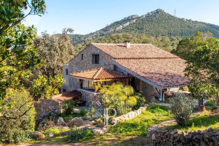 Maison à vendre - Zonza - 6 pièces - 6 chambres
