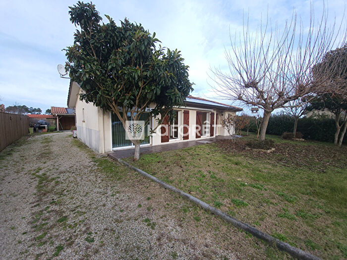 Maisons à vendre et appartements à louer - 1