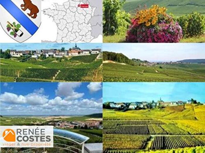 Maison à vendre - Cramant - 7 pièces - 5 chambres