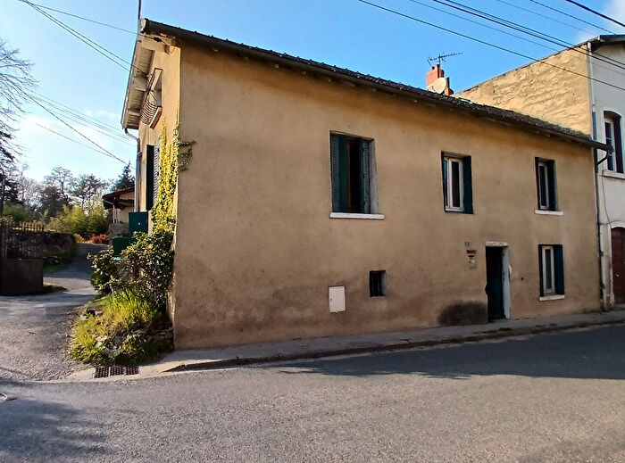 Maison à vendre - Thurins - 7 pièces - 5 chambres