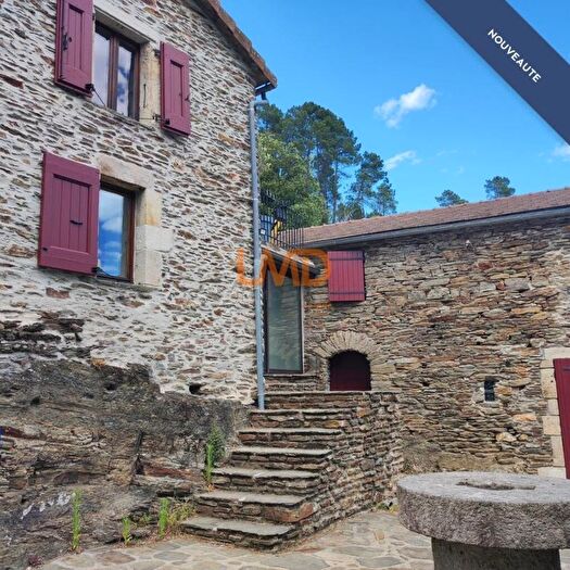 Maison à vendre - Saint-Michel-de-Dèze - 4 pièces - 3 chambres