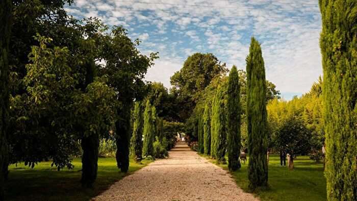 Maison à vendre - Saint-Émilion - 14 pièces - 10 chambres