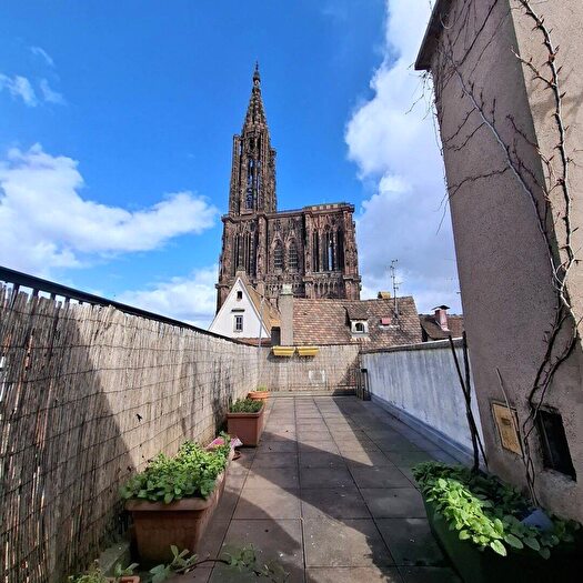 Appartement 4 pièces à louer - Strasbourg